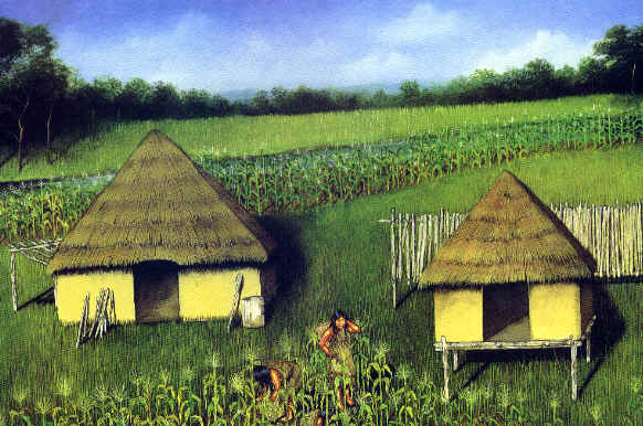 Norma Howard, "Choctaw Village," The Effects of Removal on American ...