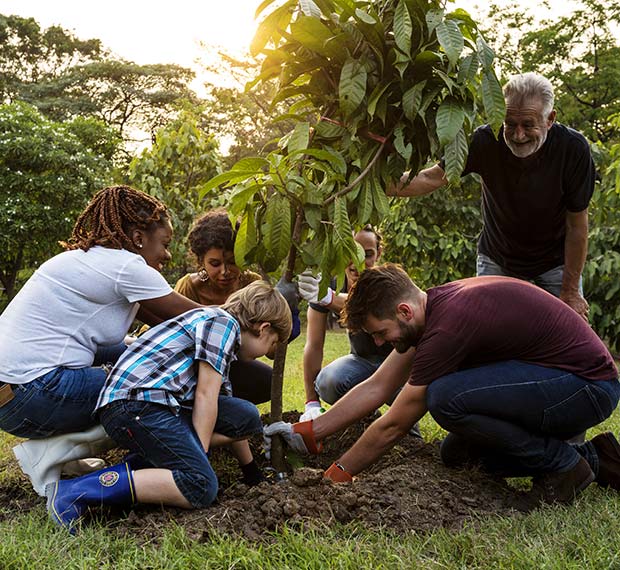 Explore Feature Archives | National Humanities Center