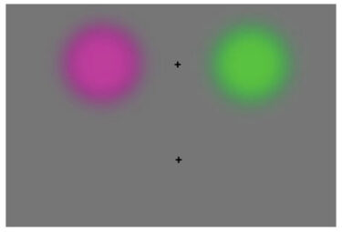 Featured Research: Perception and Perspective | National Humanities Center